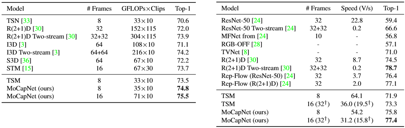 MotionCapture: Neural Motion Feature Learning for Video Understanding